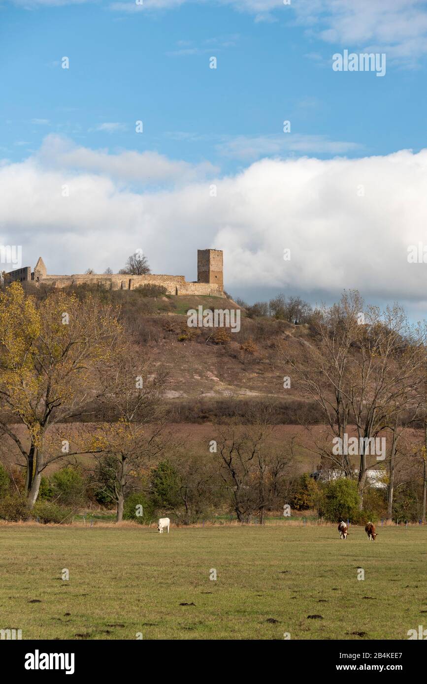 Via regia hi-res stock photography and images - Alamy