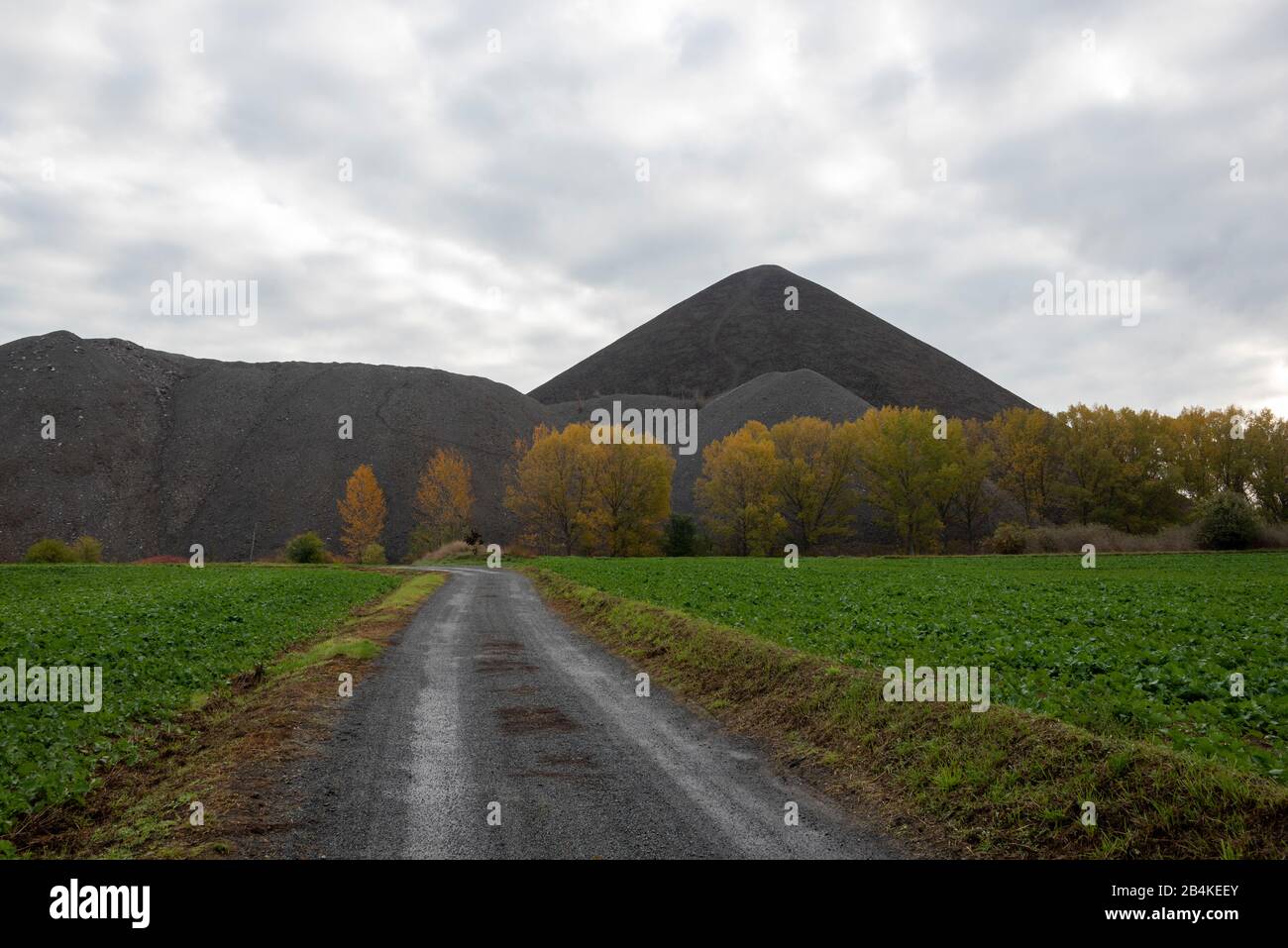 Germany, Saxony-Anhalt, Volkstedt, View of the heap Progress, former ...