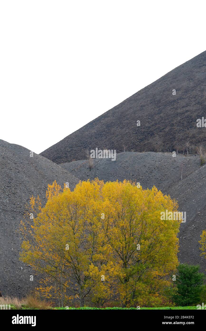 Germany, Saxony-Anhalt, Volkstedt, View of the heap Progress, former ...
