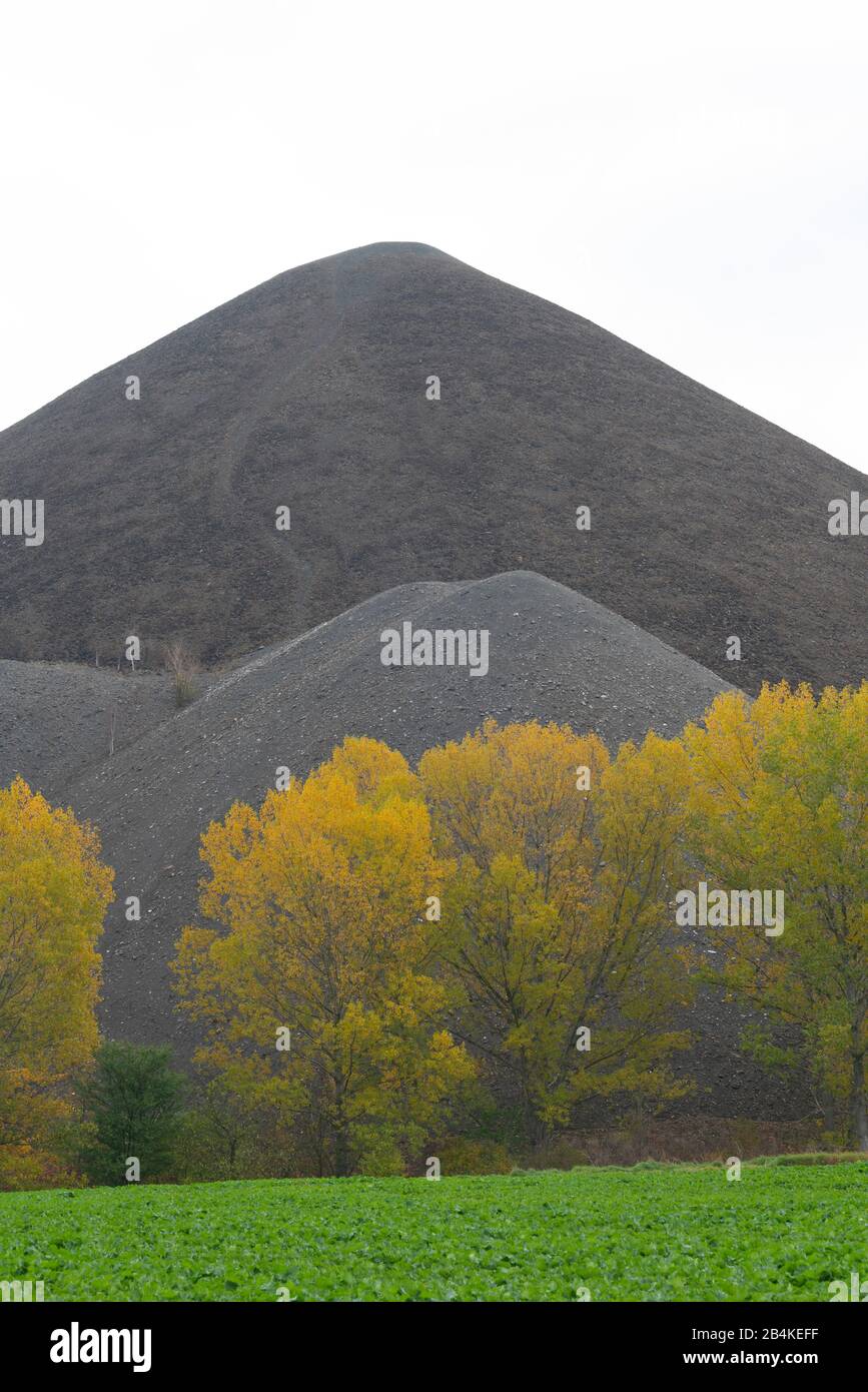 Germany, Saxony-Anhalt, Volkstedt, View of the heap Progress, former ...