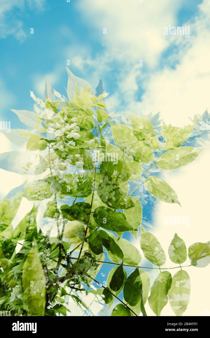 Alienation hi-res stock photography and images - Alamy