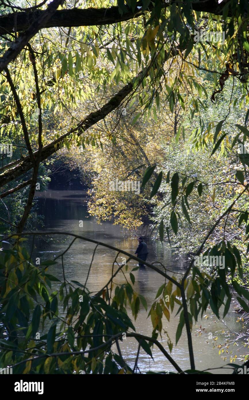 Bank small river hi-res stock photography and images - Alamy