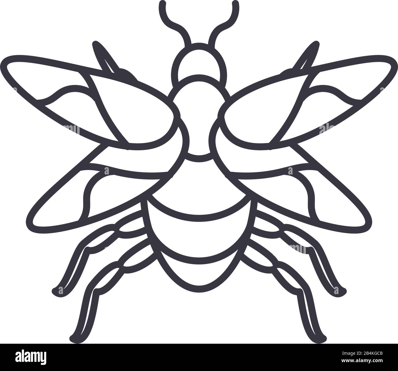 mayfly insect icon over white background, line detail style, vector ...