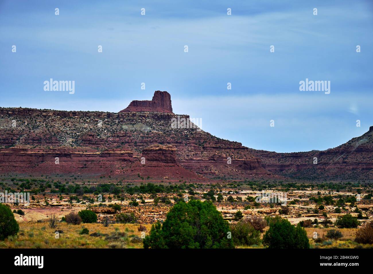 Jacobs chair hi-res stock photography and images - Alamy