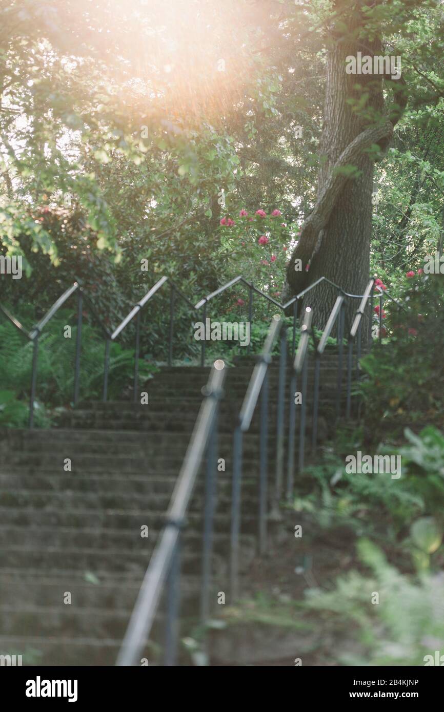 Stairs, railings, nature Stock Photo - Alamy