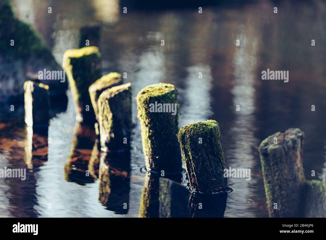 Wooden posts hi-res stock photography and images - Alamy