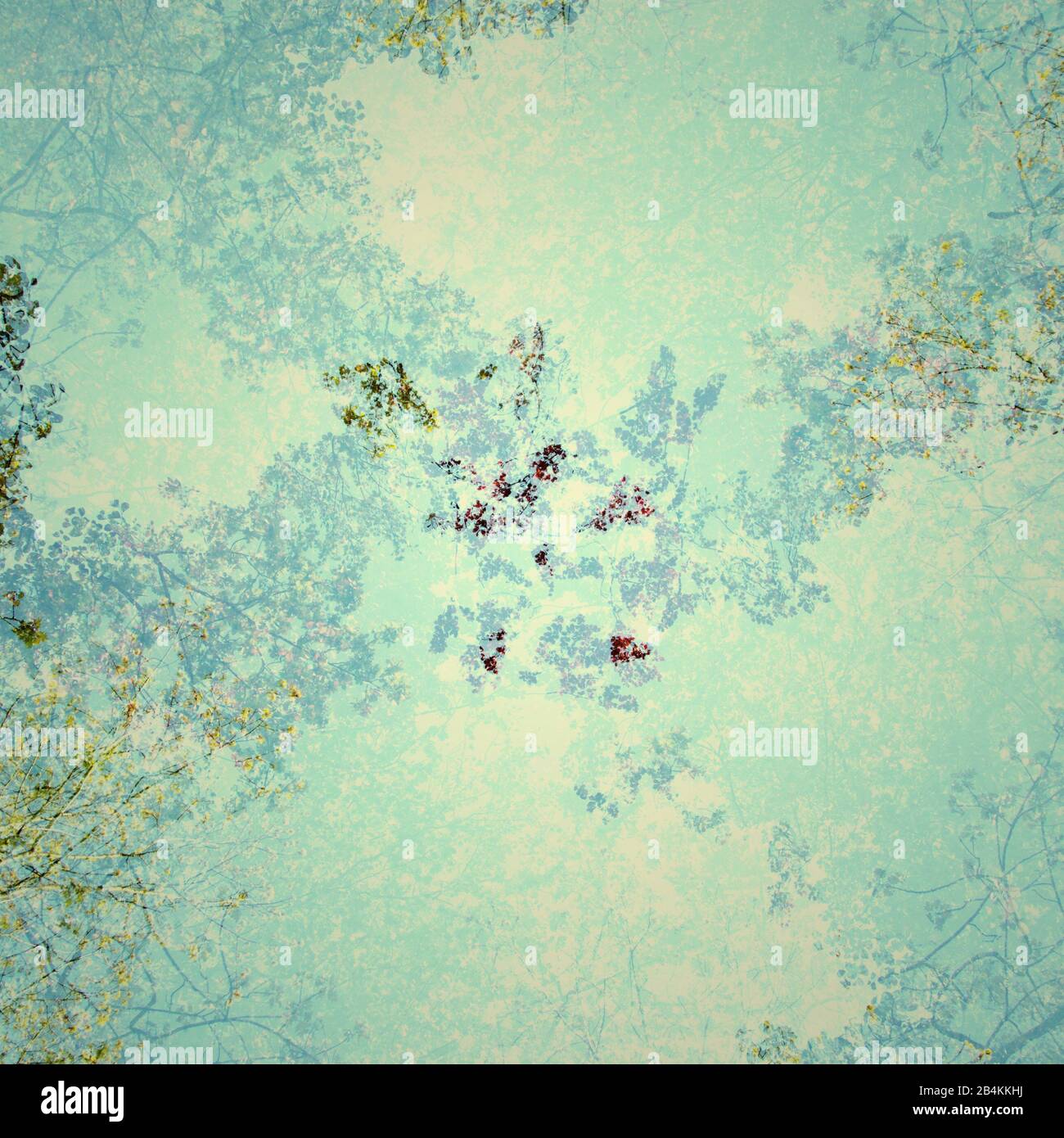 Nature details, Forest in summer, composing, alienation Stock Photo - Alamy