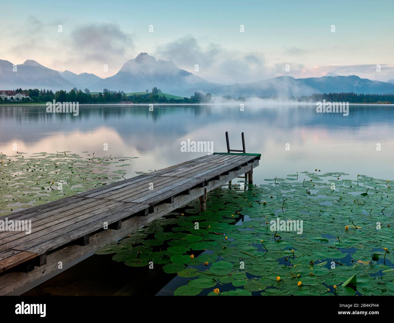 Hopfen am see hi-res stock photography and images - Alamy