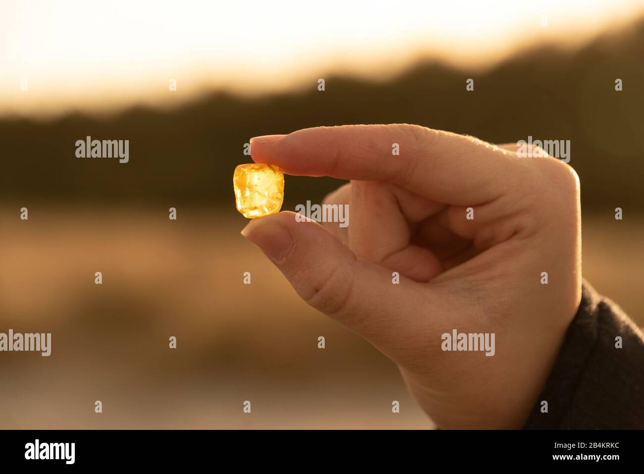 Resin fossils hi-res stock photography and images - Alamy