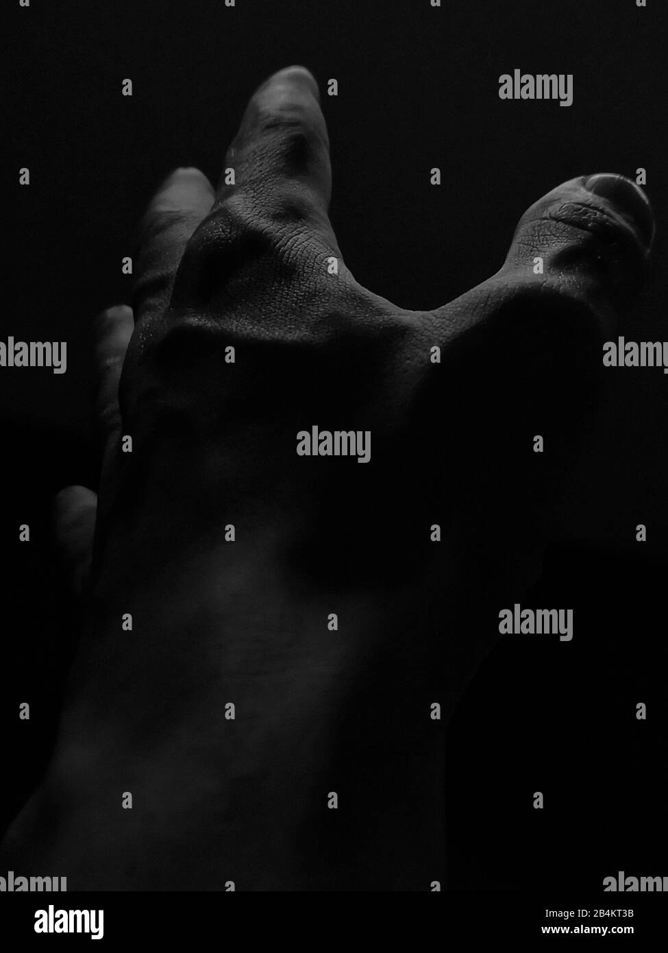 Beauty window Black and White Stock Photos & Images - Alamy