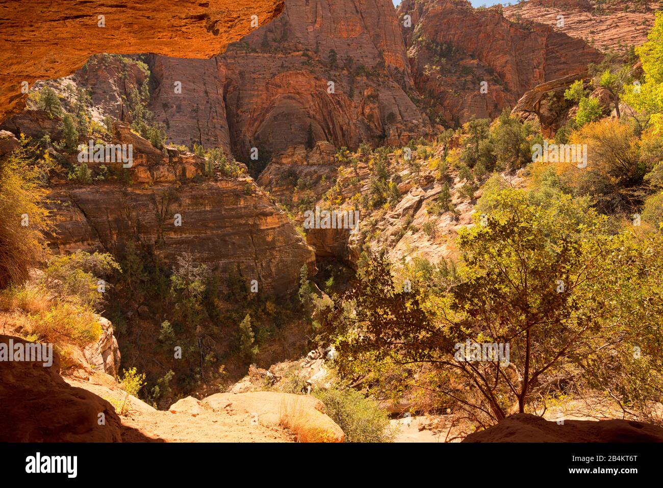 USA, Utah, Washington County, Springdale, Zion National Park, landscape ...