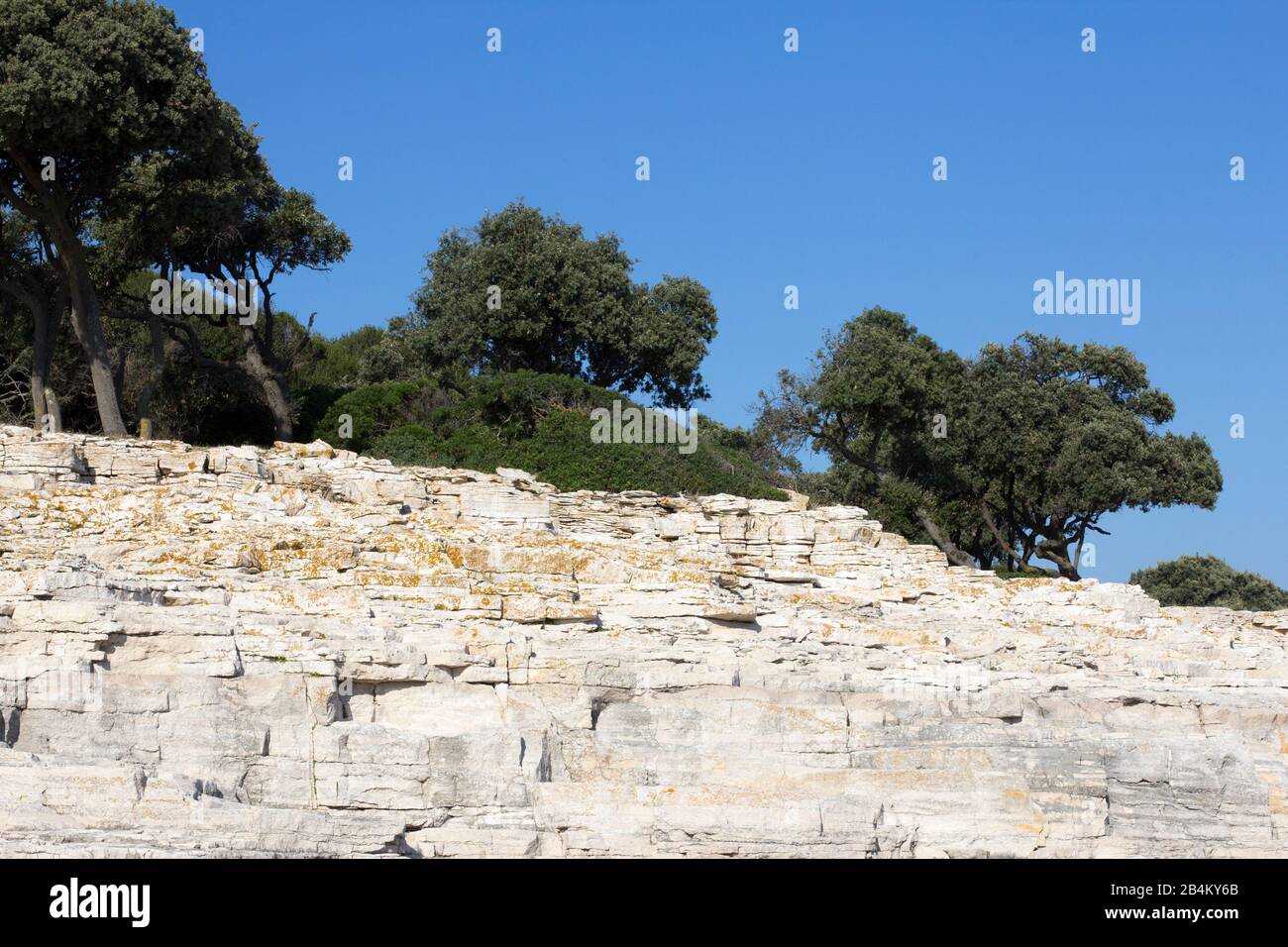 Rocks and trees on Brijuni Stock Photo - Alamy
