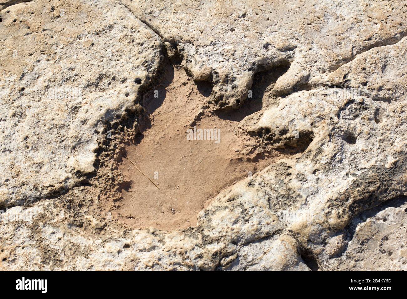 Dinosaur footprint on the Croatian island of Brijuni Stock Photo - Alamy