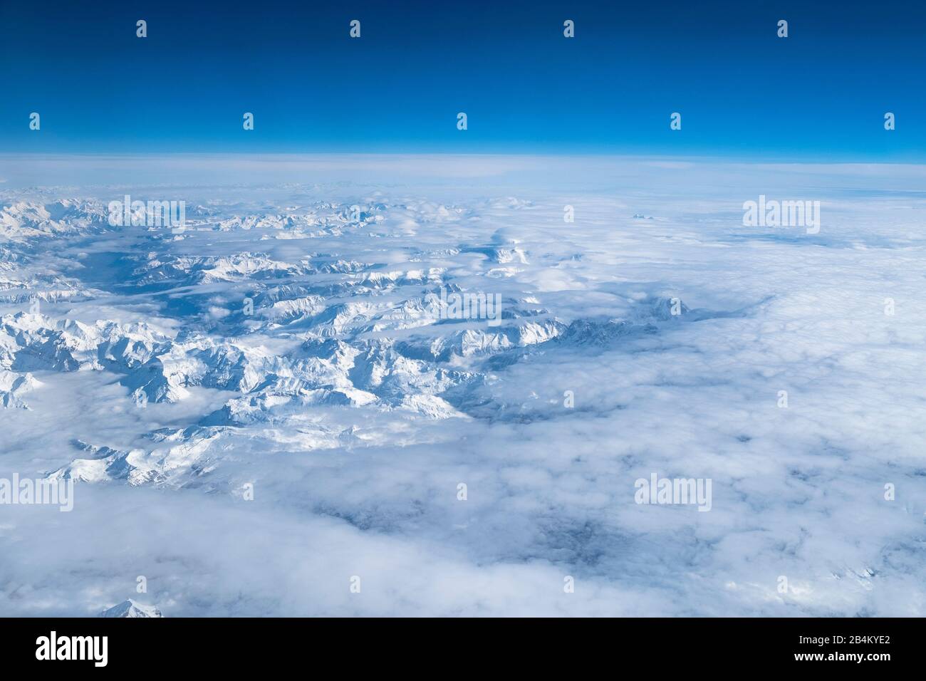 Lanky birds hi-res stock photography and images - Alamy