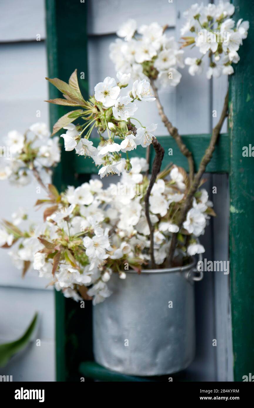 Flower arrangements hi-res stock photography and images - Alamy