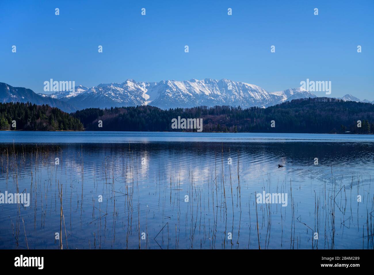 Deutschland, Bayern, Oberbayern, Pfaffenwinkel, Uffing am Staffelsee ...