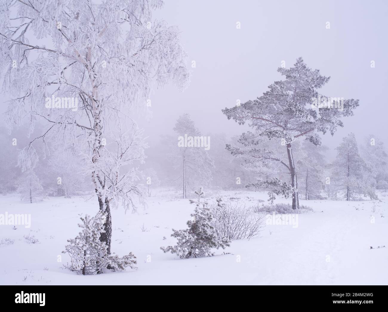 Europe, Germany, Bavaria, UNESCO Rhön Biosphere Reserve, Bavarian Rhoen ...