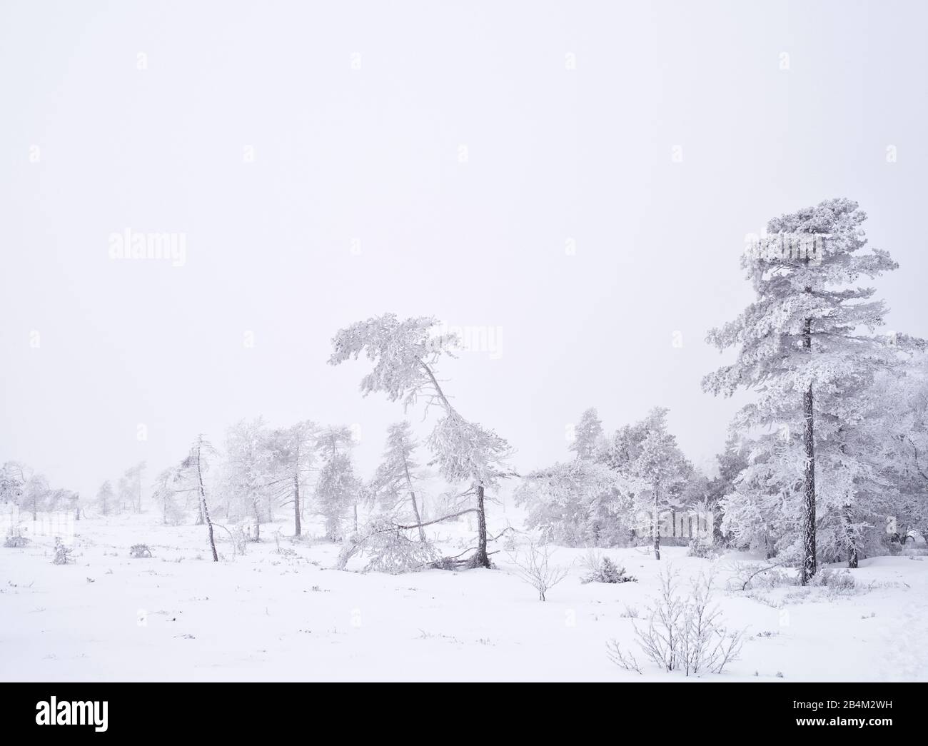Europe, Germany, Bavaria, UNESCO Rhön Biosphere Reserve, Bavarian Rhoen ...
