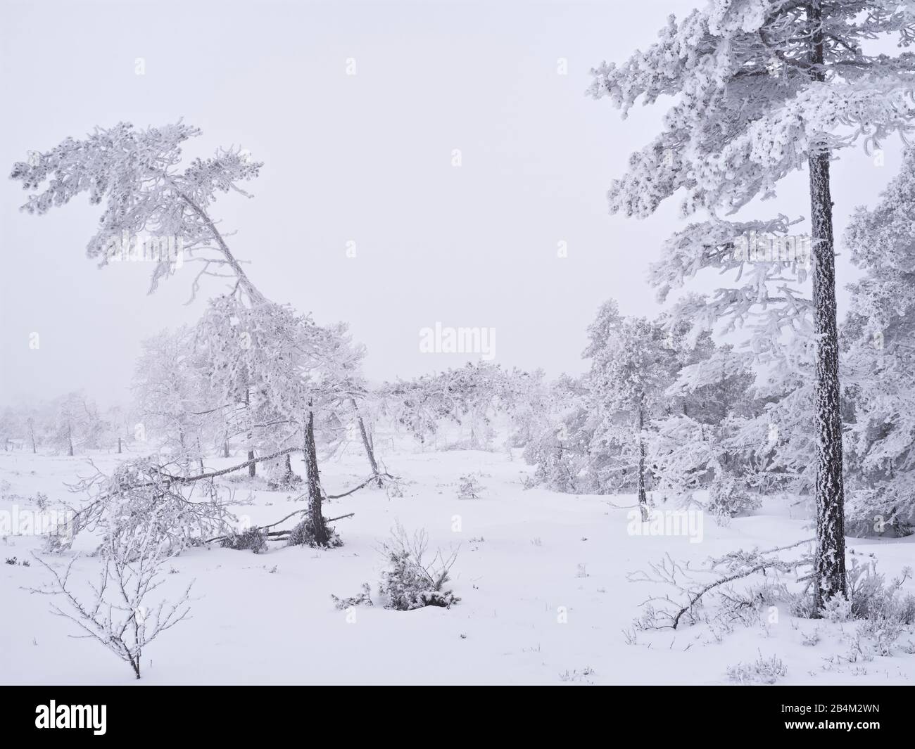 Europe, Germany, Bavaria, UNESCO Rhön Biosphere Reserve, Bavarian Rhoen ...