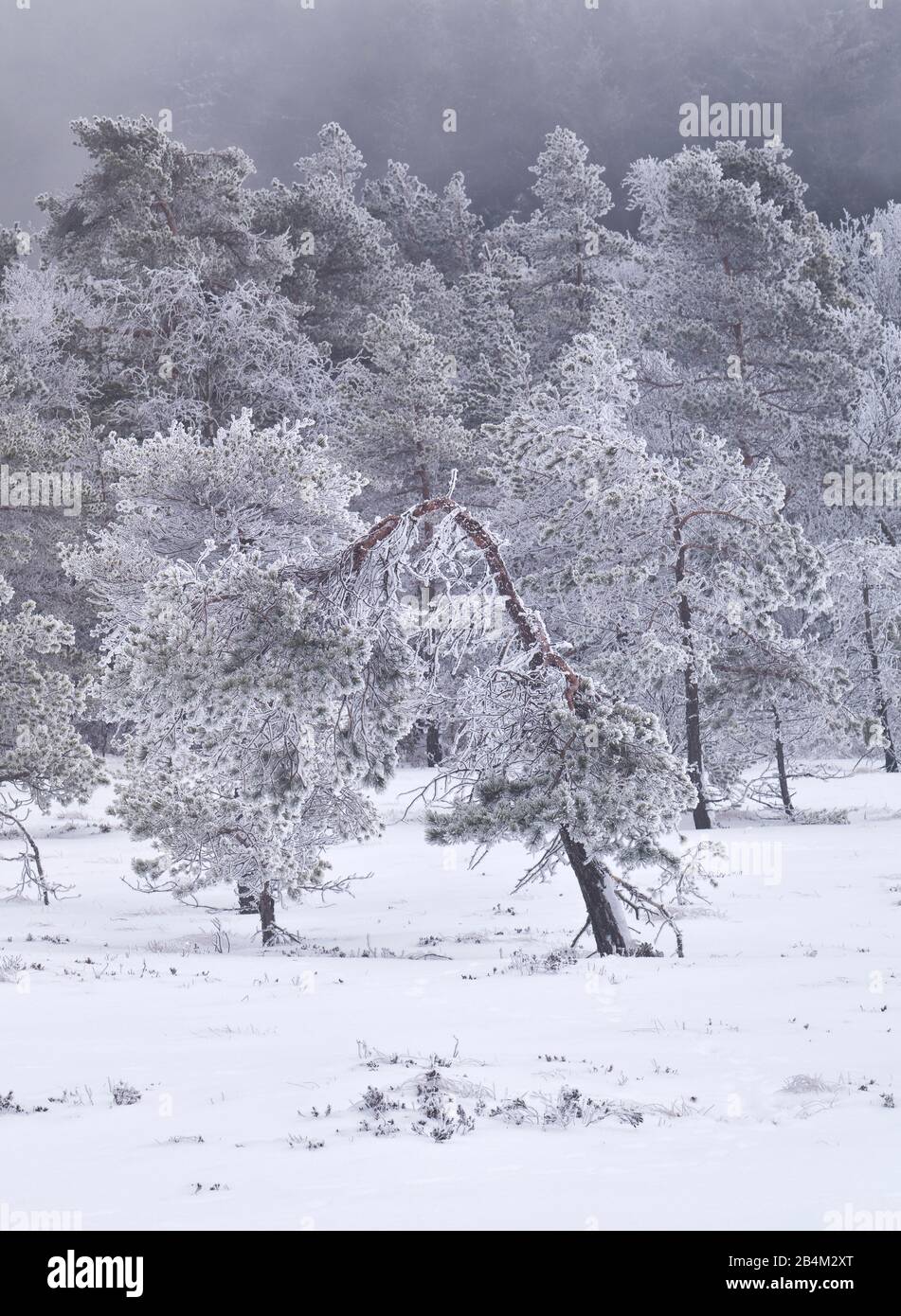 Bavarian rhoen nature park hi-res stock photography and images - Alamy