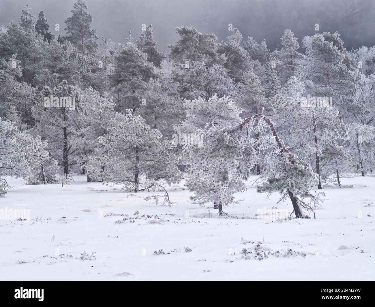 Europe, Germany, Bavaria, UNESCO Rhön Biosphere Reserve, Bavarian Rhoen ...