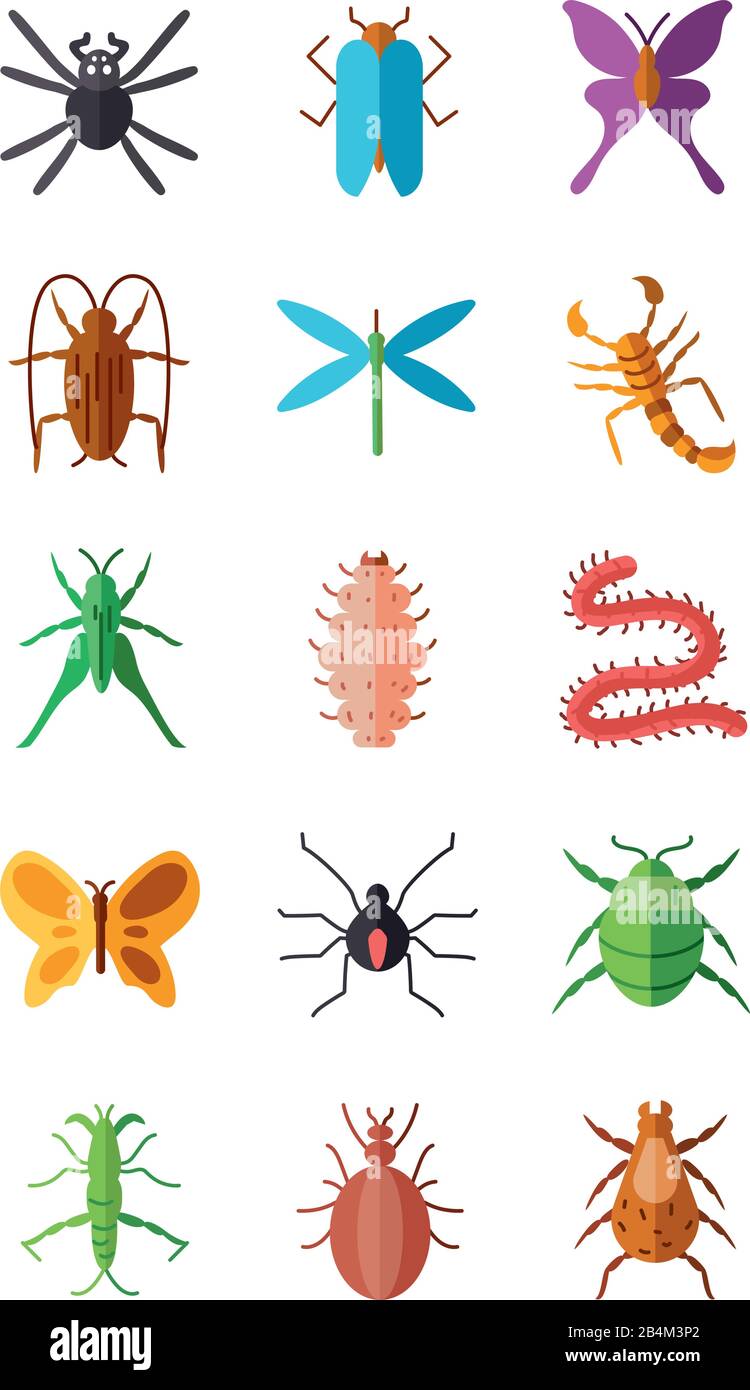 spiders and insects icon set over white background, flat style, vector ...
