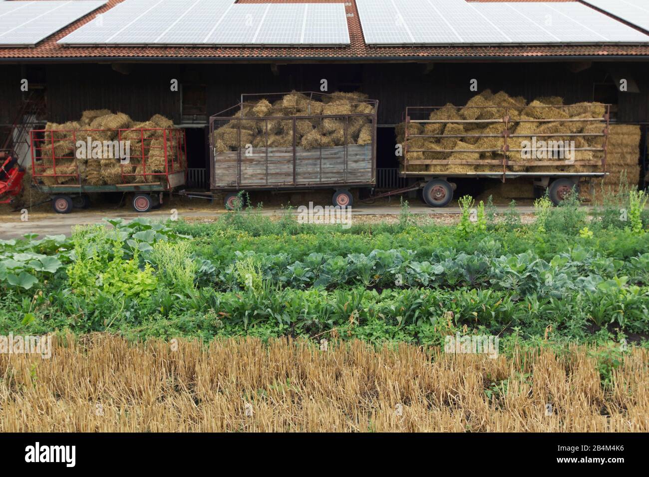 Traditional farm life in germany hi-res stock photography and images ...