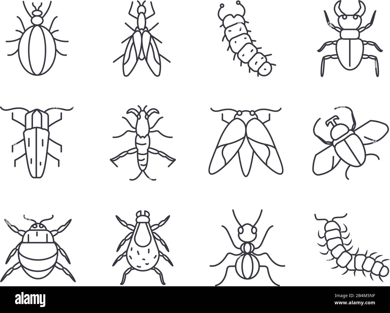 icon set of insects concept over white background, line detail style ...