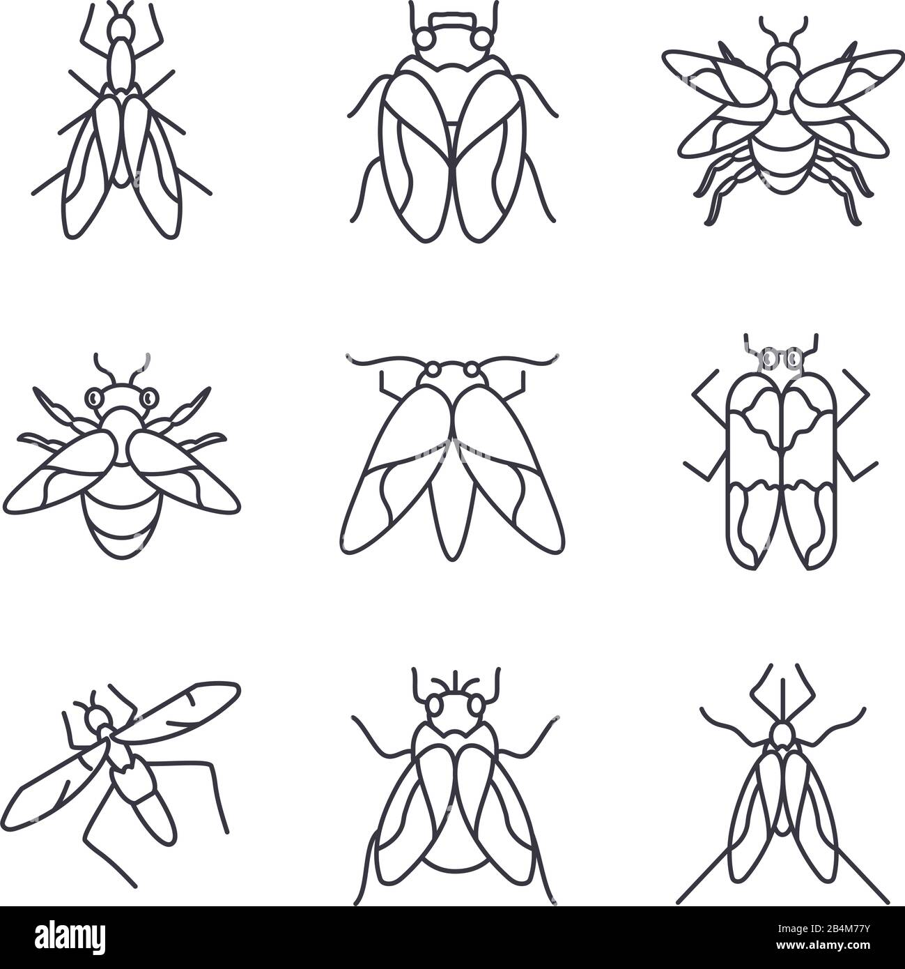 flies insects icon set over white background, line detail style, vector ...