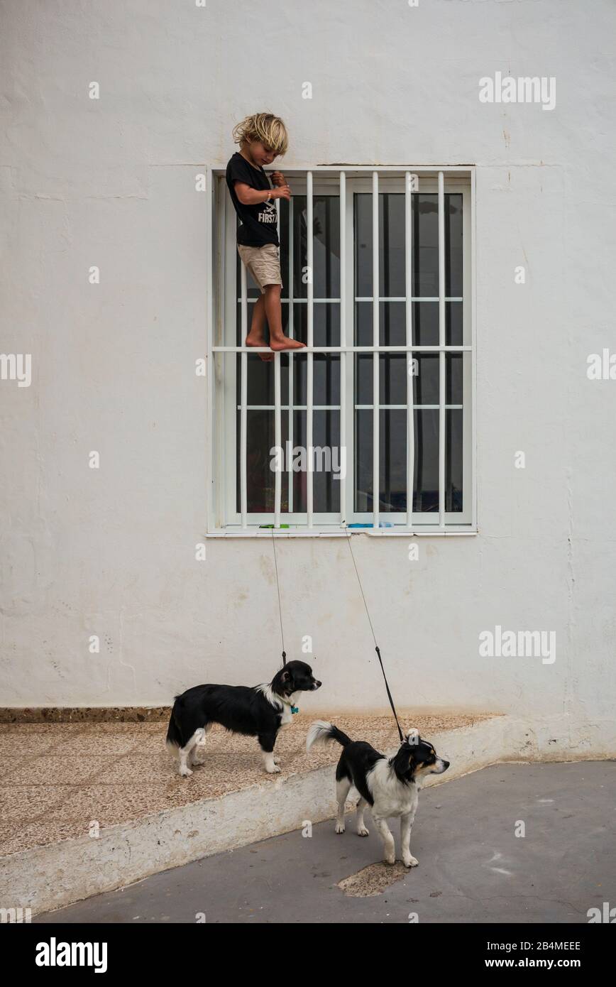 Boy with two dogs hi-res stock photography and images - Alamy