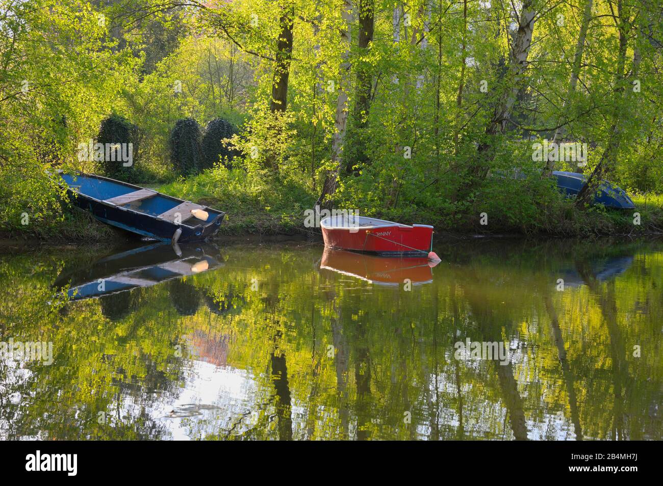 Rowing boats on a parallel to river Main running calmed water for ...