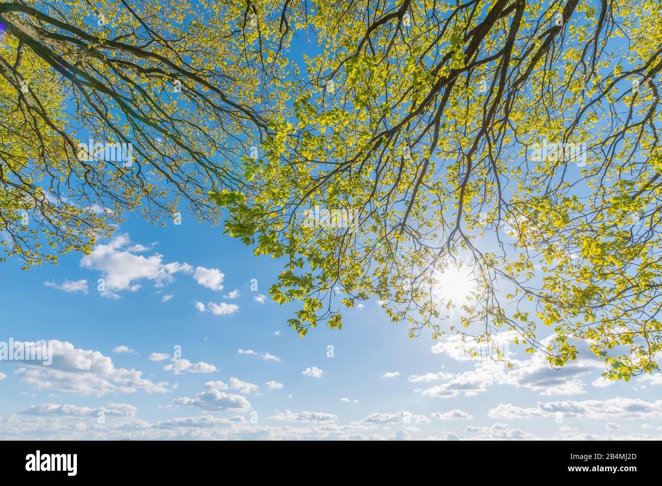 Sun in spring hi-res stock photography and images - Alamy