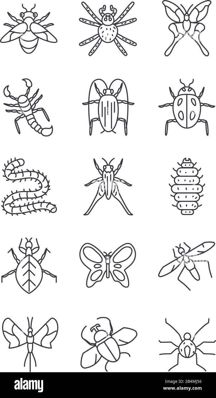 spiders and insects icon set over white background, line detail style ...