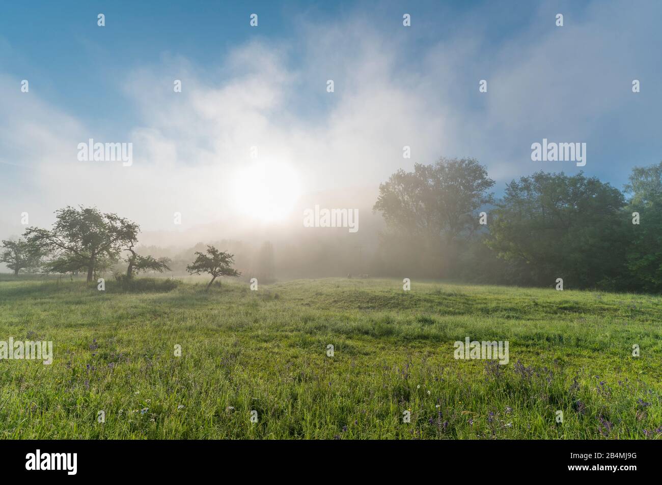 Landscape in the morning with fog and sun Stock Photo - Alamy