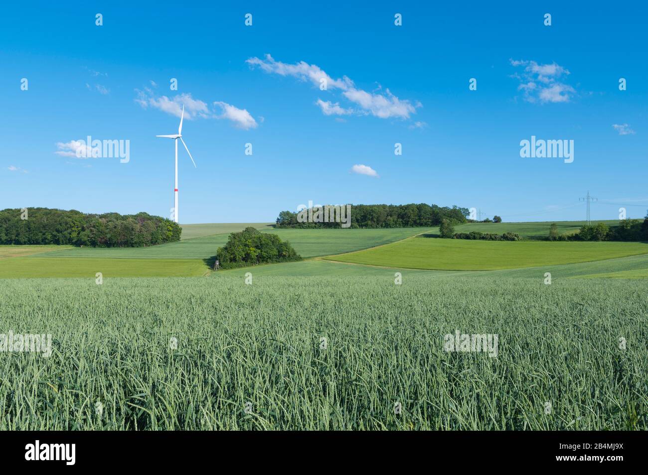 Grainfield and wind turbine in summer hi-res stock photography and ...