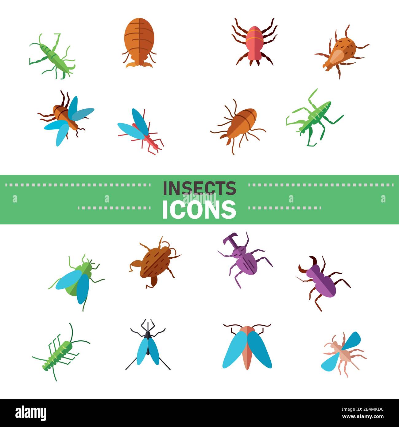 Colorful Insect Icon Set Over White Background Line Detail Style