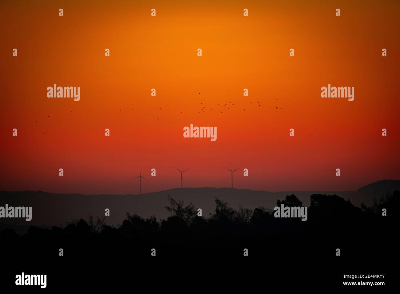 Wind turbine turbines birds hi-res stock photography and images - Alamy