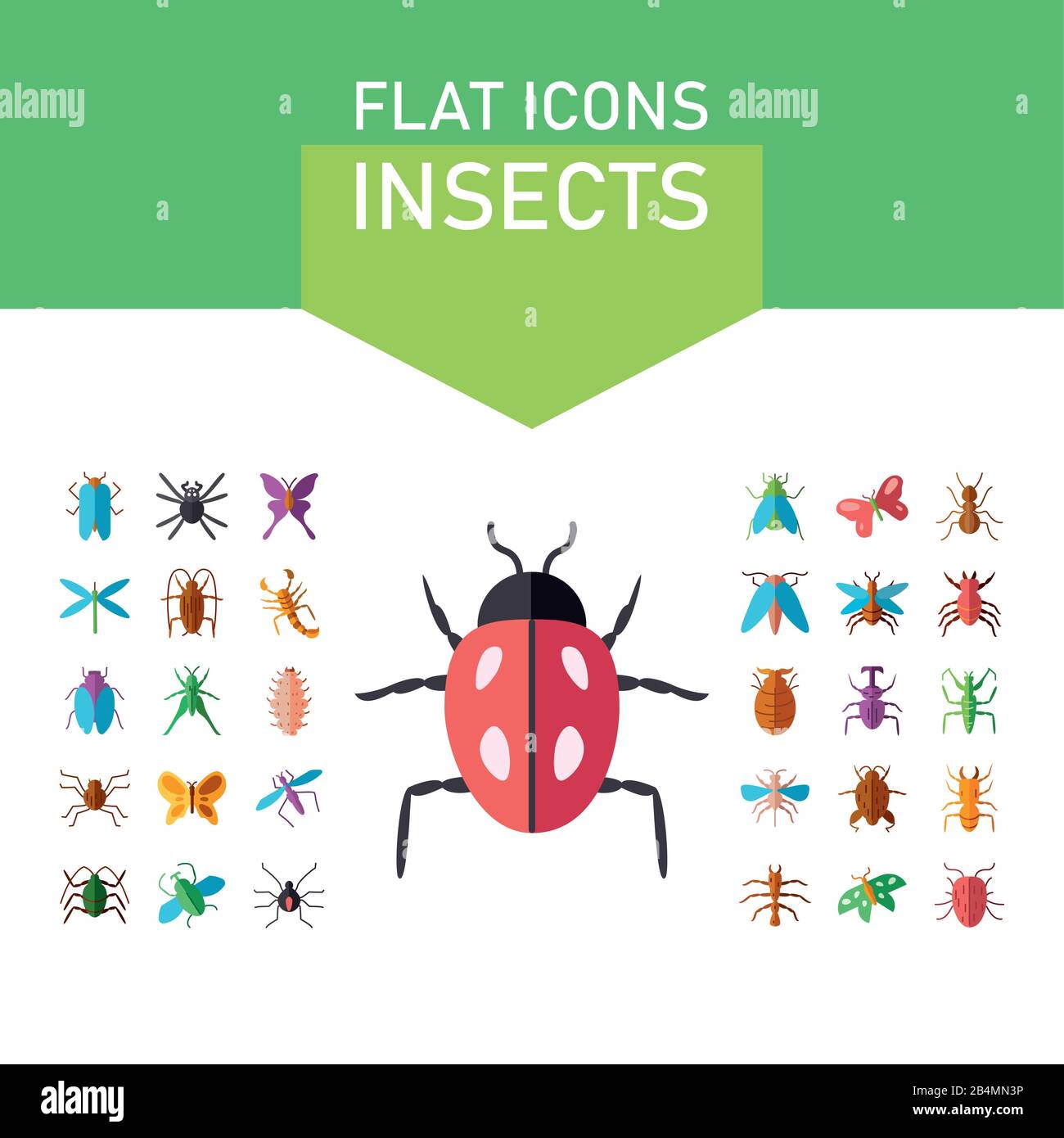 ladybug and insect icon set over white background, flat style, vector ...