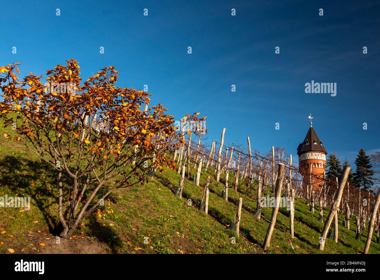 Vinery tower hi-res stock photography and images - Alamy