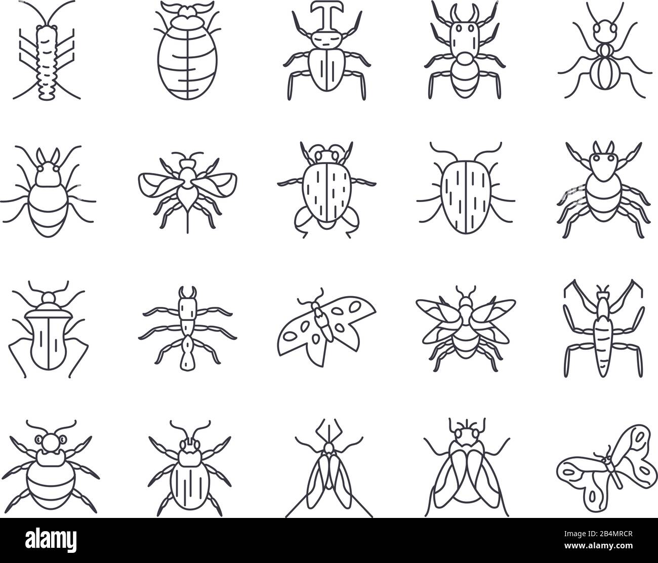 bugs and insect icon set over white background, line detail style ...