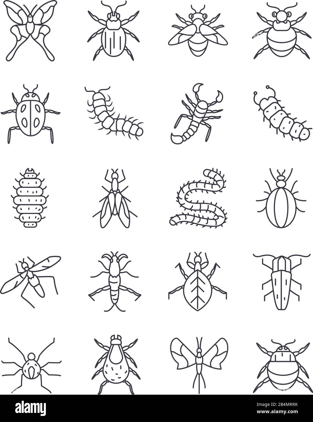 Butterfly And Insect Icon Set Over White Background Line Detail Style