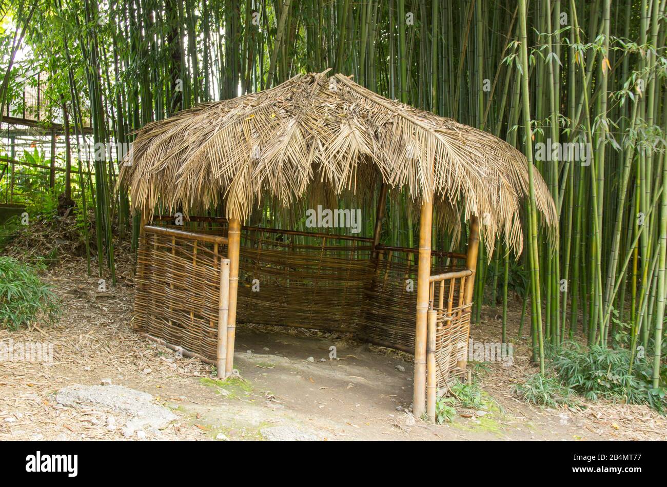 Tropical hut hi-res stock photography and images - Alamy