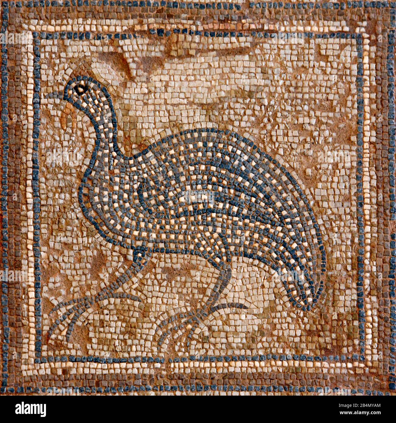 Bird image from the mosaic floor of the house of Eustolios, Kourion ...