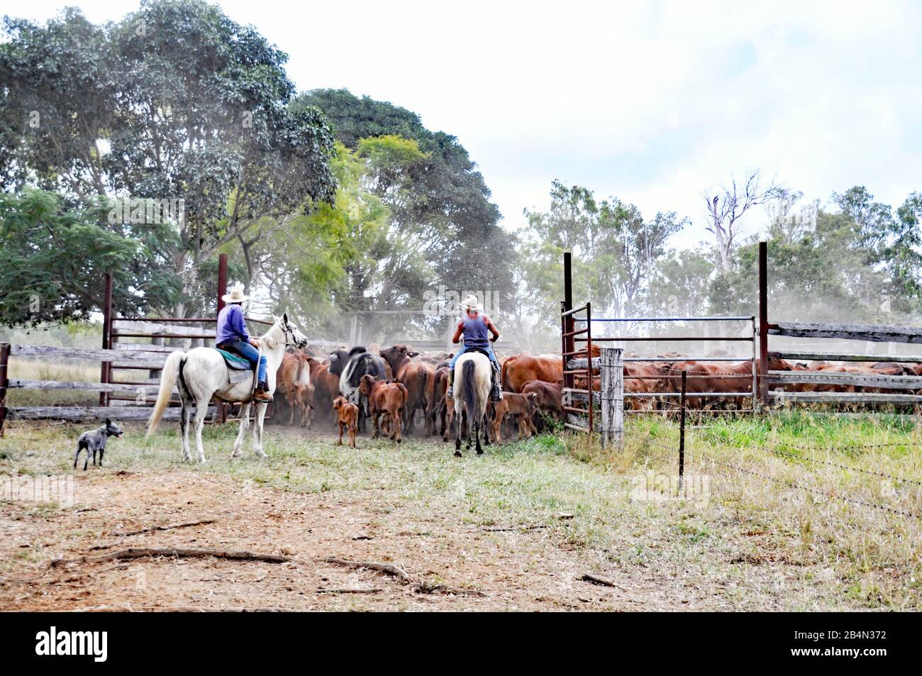 CATTLE STATION / RANCH WORK Stock Photo - Alamy