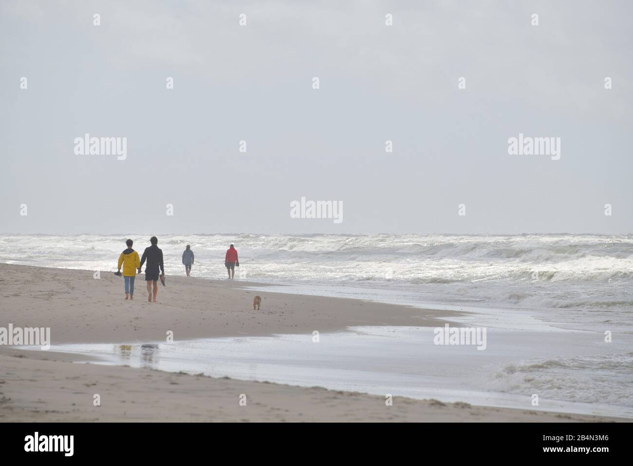 North sea beach with tourist in summer, Hvide Sande, Ringkobing Fjord ...