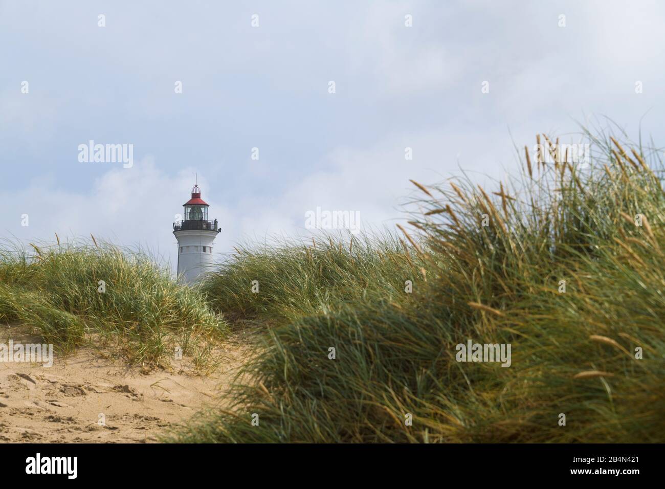 Lighthouse in dune landscape in summer, Lyngvig Fyr, Hvide Sande ...