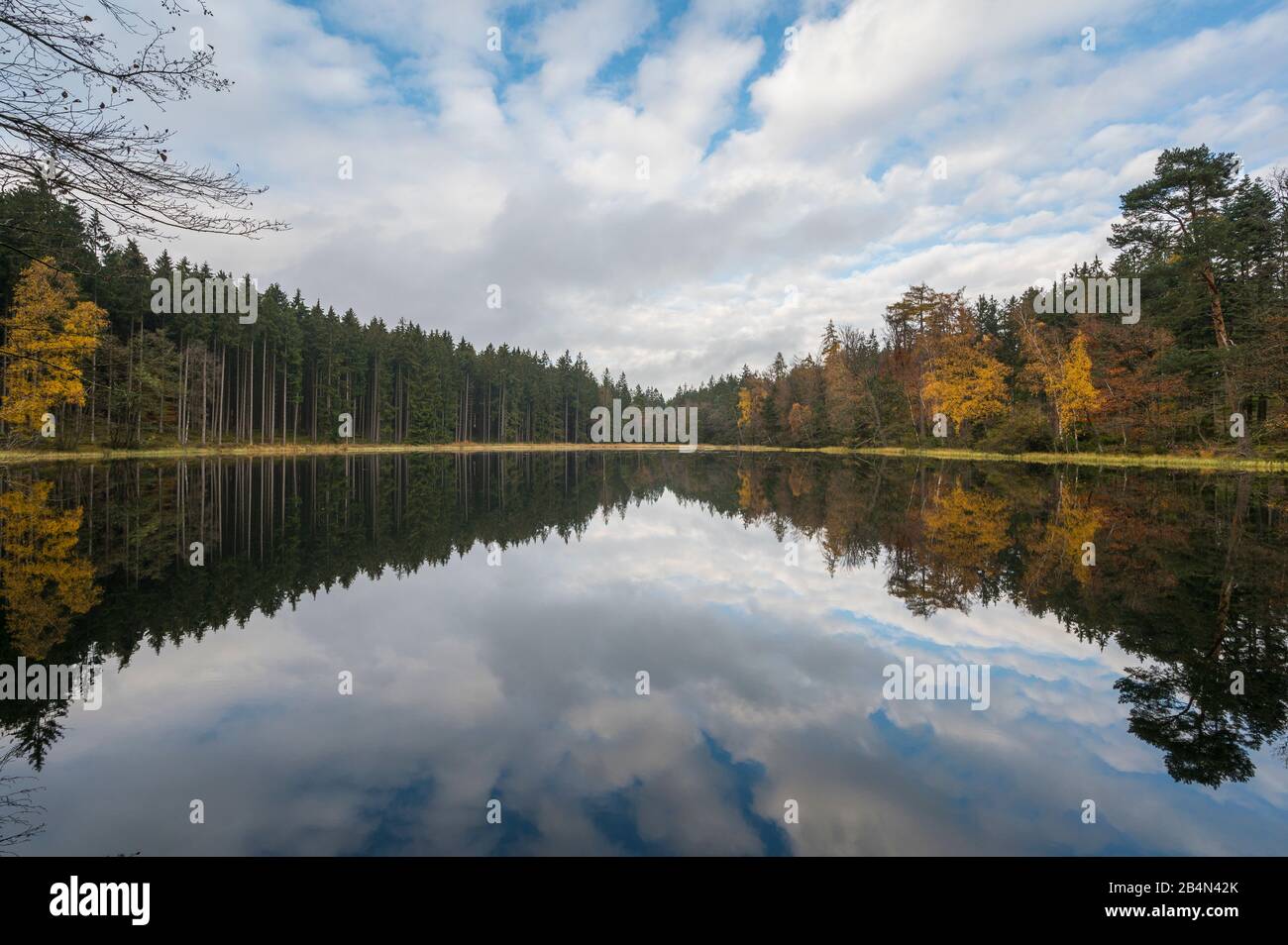 Odenwald Forest High Resolution Stock Photography and Images - Alamy