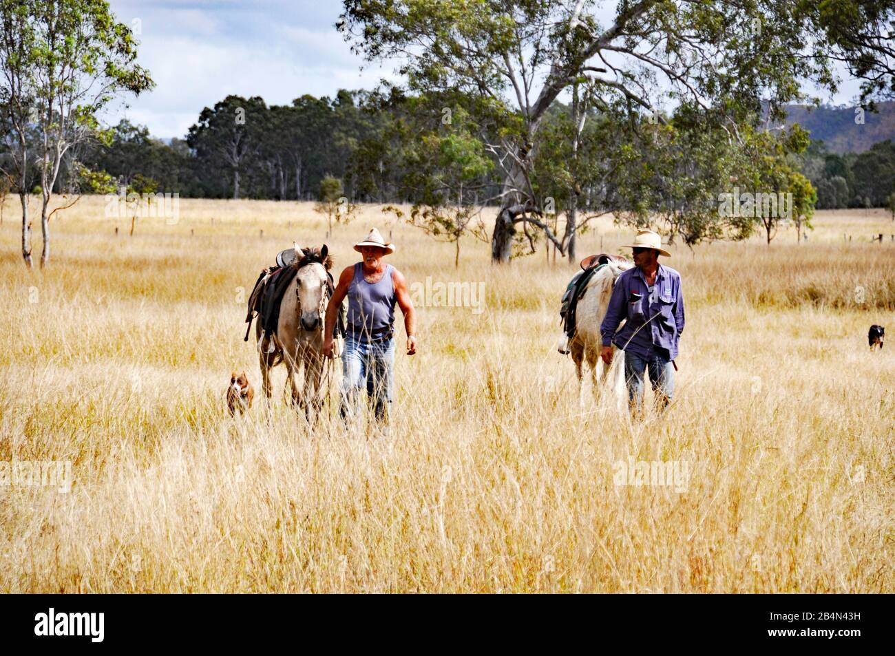 CATTLE STATION / RANCH WORK Stock Photo - Alamy