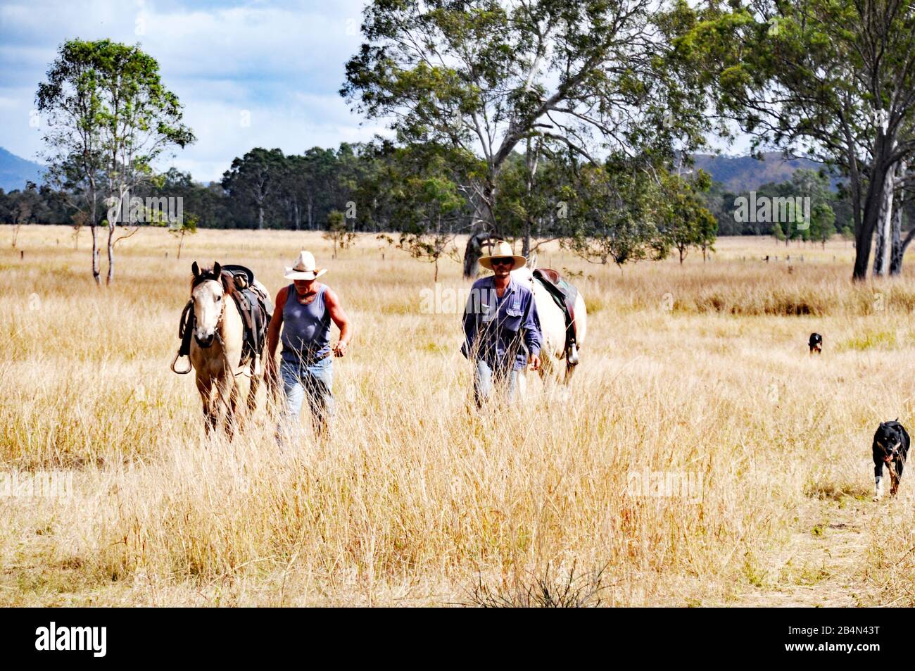 CATTLE STATION / RANCH WORK Stock Photo - Alamy