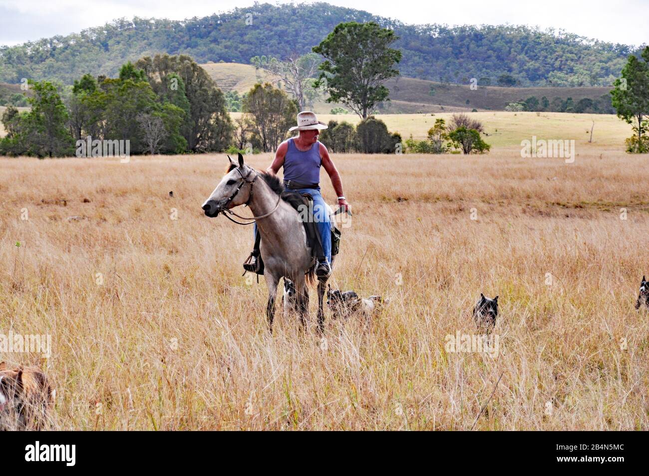 CATTLE STATION / RANCH WORK Stock Photo - Alamy